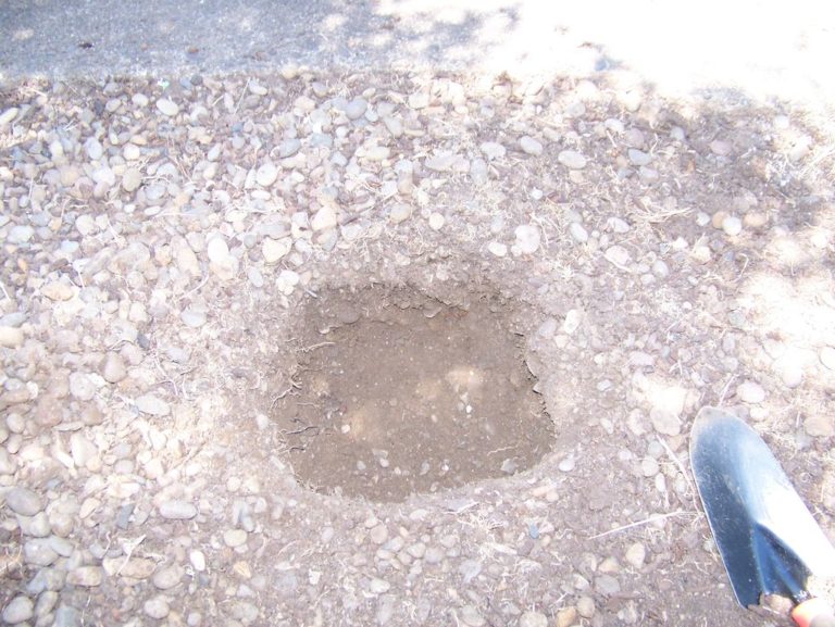 Colored Solar Powered Walkway | Home Design, Garden & Architecture Blog ...