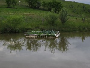 Floating Vegetable Garden | Home Design, Garden & Architecture Blog ...