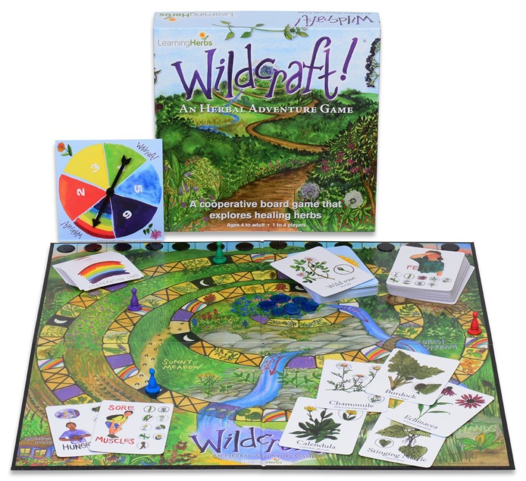 Teach Your Children Wild Edible and Medicinal Plants with this Creative ...