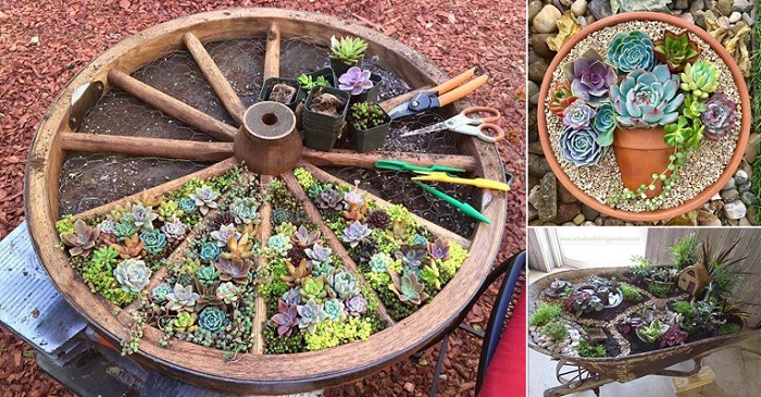 Awesome Ideas For a Small Garden Display | Home Design, Garden ...