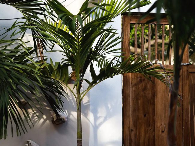 Couple Worked 18 Hours a Day to Transform a £37k Van Into a Tulum ...